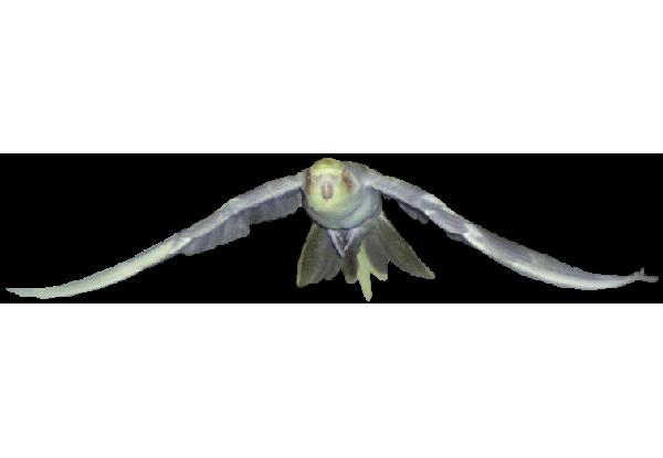 Home [www.federmaus.de]